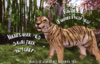 Second Life Marketplace - [ PWM ] Twi wildcat - Nightsaber (dawn tiger)