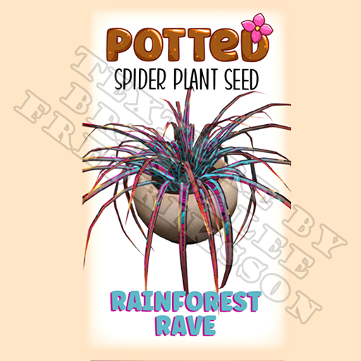 Second Life Marketplace - Potted: Spider Plant Seed: Rainforest Rave ...
