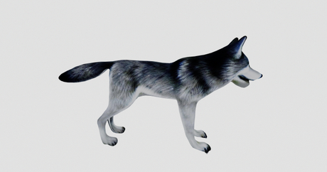 Second Life Marketplace - wolf