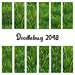 Second Life Marketplace - Full Perm Fairy Grass Textures 2048