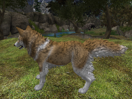 Second Life Marketplace - TWI LIMITED EDITION Mocha Husky Mod for TWI Wolf