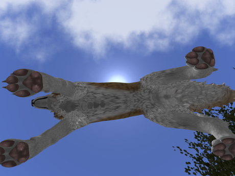 Second Life Marketplace - TWI LIMITED EDITION Mocha Husky Mod for TWI Wolf