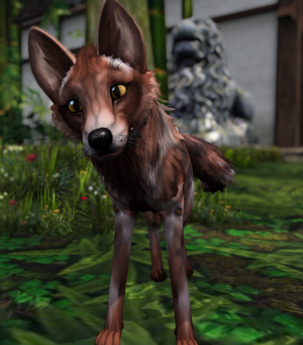 Second Life Marketplace - [ PWM ] Twi fox - Red Merle LIMITED EDITION