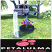Second Life Marketplace - Redneck Lawn Sprinkler - PetalUlma