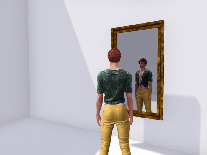 Second Life Marketplace - frame with real mirror