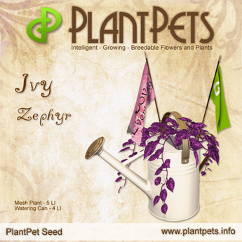 Second Life Marketplace - PlantPet Seed [Ivy *Zephyr*]