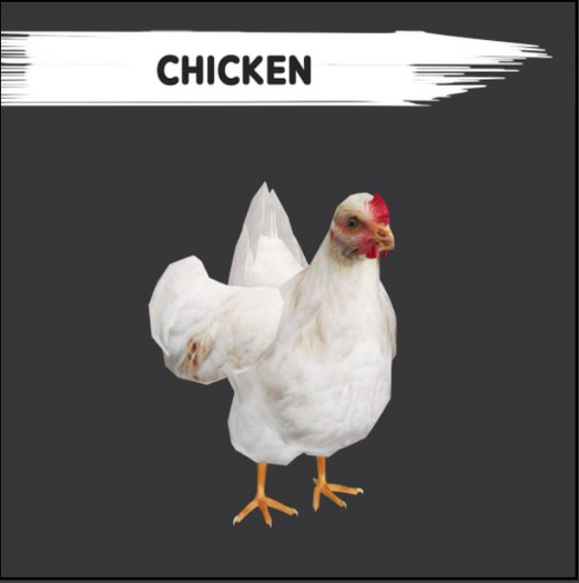 Second Life Marketplace - MyStory Chicken x 5