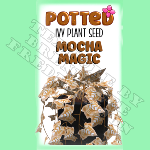Second Life Marketplace - Potted: Ivy Plant Seed: Mocha Magic (ACTUAL ...