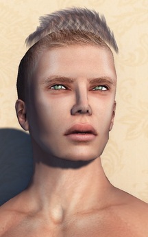 Second Life Marketplace - Male Shape - Tyler