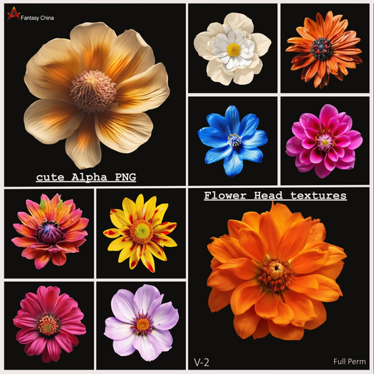 Second Life Marketplace - Flower Head Textures - FLOWER PNG