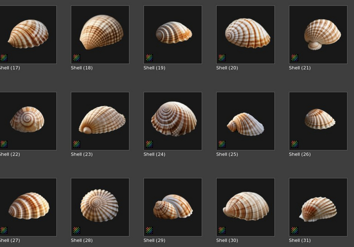 Second Life Marketplace - FREE Sea Shells x 30 alpha cut, full perm ...