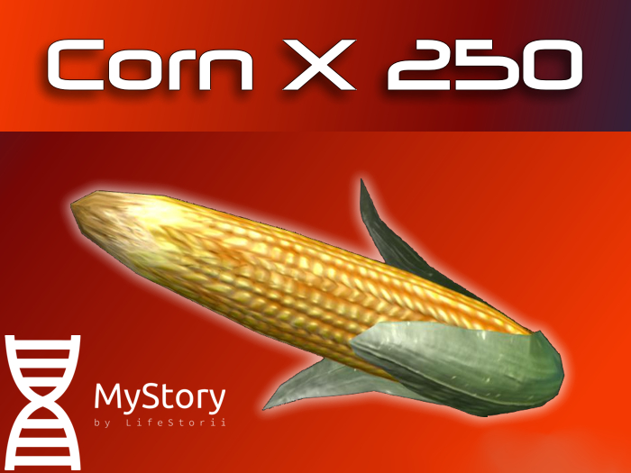 Second Life Marketplace - MyStory Corn x 250