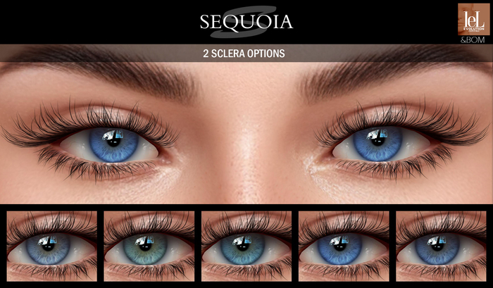 Second Life Marketplace - ::Sequoia:: Fierce blue eyes for Lelutka Evo ...