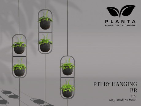 Second Life Marketplace - Planta - Ptery Hanging BR