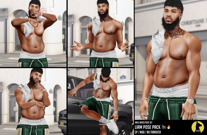 Second Life Marketplace - Of Breed: Liam Pose Pack ~ Bento for Pics