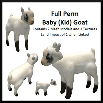 Second Life Marketplace - Full Perm Baby (Kid) Goat