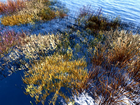 Second Life Marketplace - RW - Autumn fall reeds on/off sim *dorrad* c/m