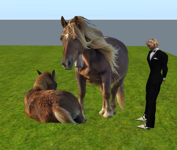 Second Life Marketplace - 2 Brown Horses - one resting on grass TGA ...