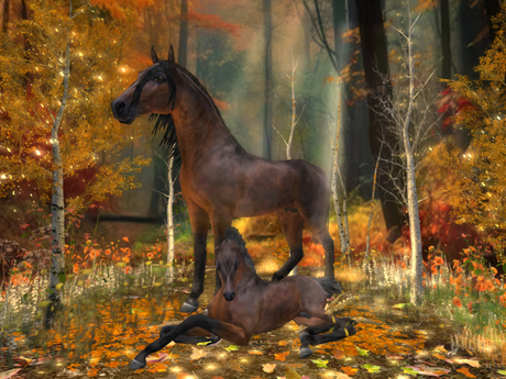 Second Life Marketplace - Enchanted Fall Forest ~ Baywood