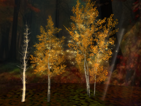 Second Life Marketplace - Enchanted Fall Forest ~ Baywood