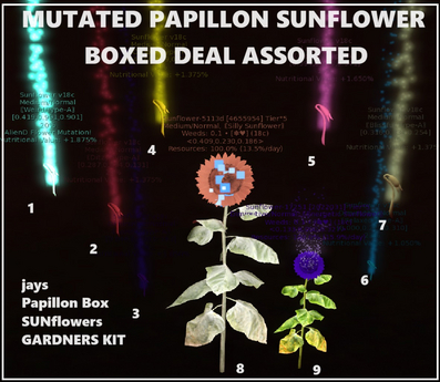 Second Life Marketplace - MUTATED PAPILLON SUNFLOWER pack kit boxed DEAL