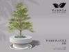 Second Life Marketplace - Planta - Yosef Planter DW