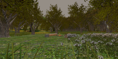 Second Life Marketplace - Forest Clearing - Skybox - Fire and Log Seats