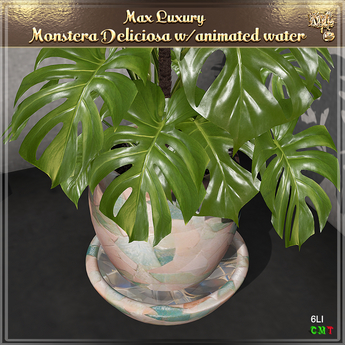 Second Life Marketplace - Max Luxury - Monstera Deliciosa w/animated water