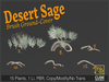 Second Life Marketplace - PBR Desert Sage Sagebrush Bushes, desert ...