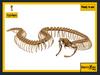 Second Life Marketplace - ::DisturbeD:: Halloween Snake Skeleton - FULL ...