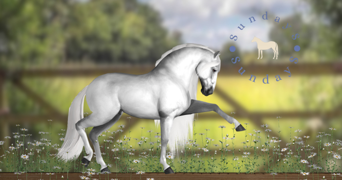 Second Life Marketplace - SundayS - Solid Coat - White