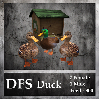 Second Life Marketplace - DFS Duck ( 2 Female - 1 Male - 1x Duck Feed 300 )