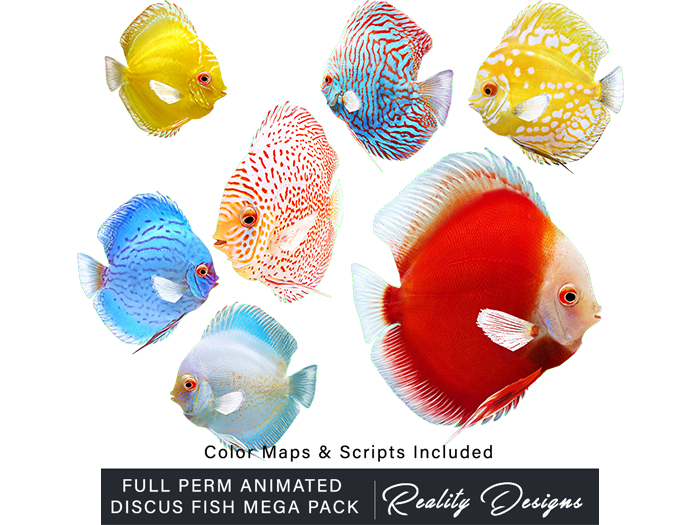 Second Life Marketplace - Full Perm Animated Swimming Discus Fish Mega Pack