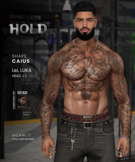 Second Life Marketplace - HOLD SHAPES - Caius - Shape LeLUTKA Luka 4.0 ...