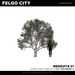 Second Life Marketplace - FELGO City // Tree - Mesquite 01