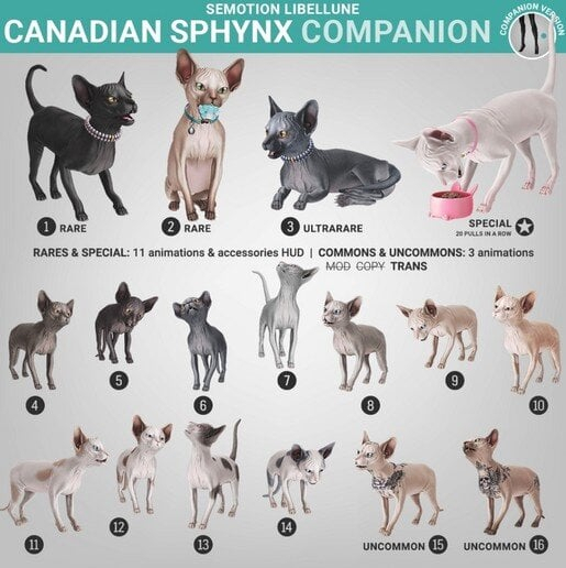 Second Life Marketplace - SEmotion Libellune Canadian Sphynx Companion ...