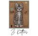 Second Life Marketplace - ♂ 7T Toyger - Blue MALE - KittyCatS Box - New ...
