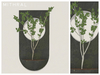 Second Life Marketplace - Mithral * Circle Wall Tree Planter (Black)
