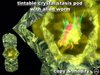 Second Life Marketplace - !O! - tintable crystal stasis pod with alien ...