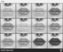 Second Life Marketplace - Echo - Demo Emily lipsticks Applier Catwa HD PRO