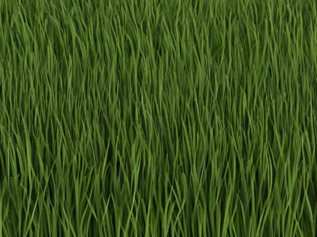 Second Life Marketplace - Grass Texture (4)