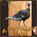 Second Life Marketplace - DFS Turkey Female (Actual Item) 0 - Days Old