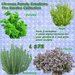 Second Life Marketplace - ~CFC~ Garden Collection Pack 2 Alpha Plants