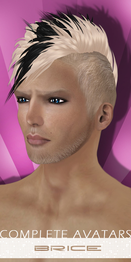 Second Life Marketplace - MADesigns COMPLETE AVATARS ~ Brice
