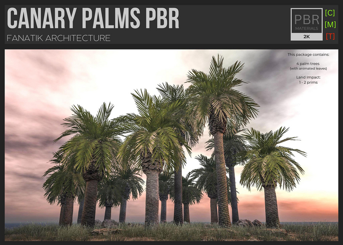 Second Life Marketplace - :FANATIK: Canary Palms PBR - Palm Trees with ...