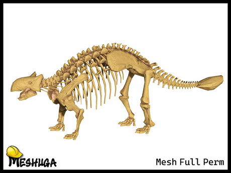 Second Life Marketplace - Meshuga Halloween Dinosaur Skeleton FULL PERM ...