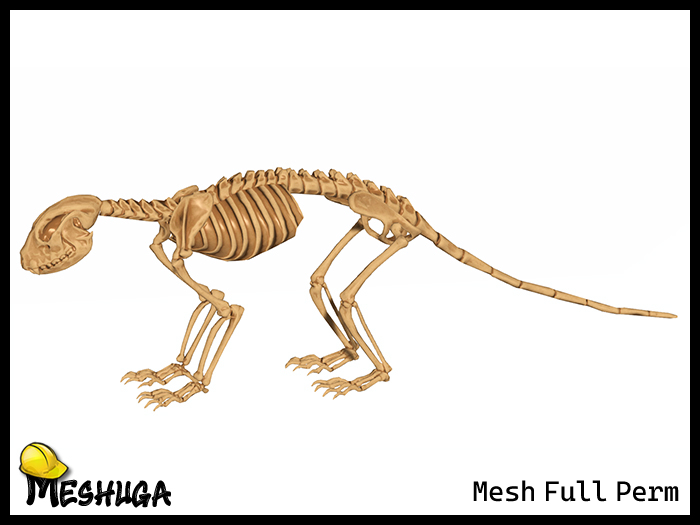 Second Life Marketplace - Meshuga Halloween Red Panda Skeleton FULL ...
