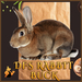 Second Life Marketplace - DFS Rabbit Buck (Actual Item)