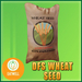 Second Life Marketplace - DFS Wheat Seed (Actual Item)