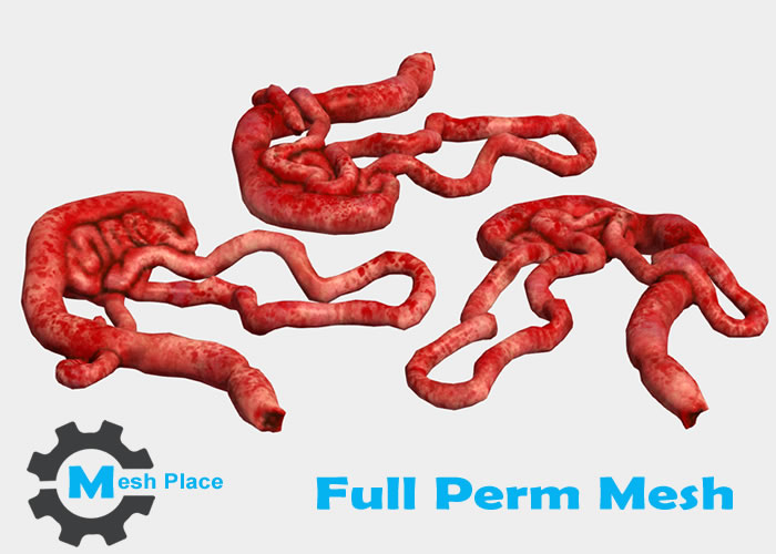 Second Life Marketplace - Mesh Place - Halloween Horror Intestines Full ...